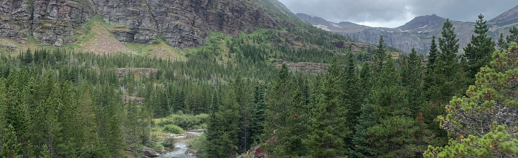 Highline and Swiftcurrent Pass Trail: 124 Reviews, Map - Montana ...