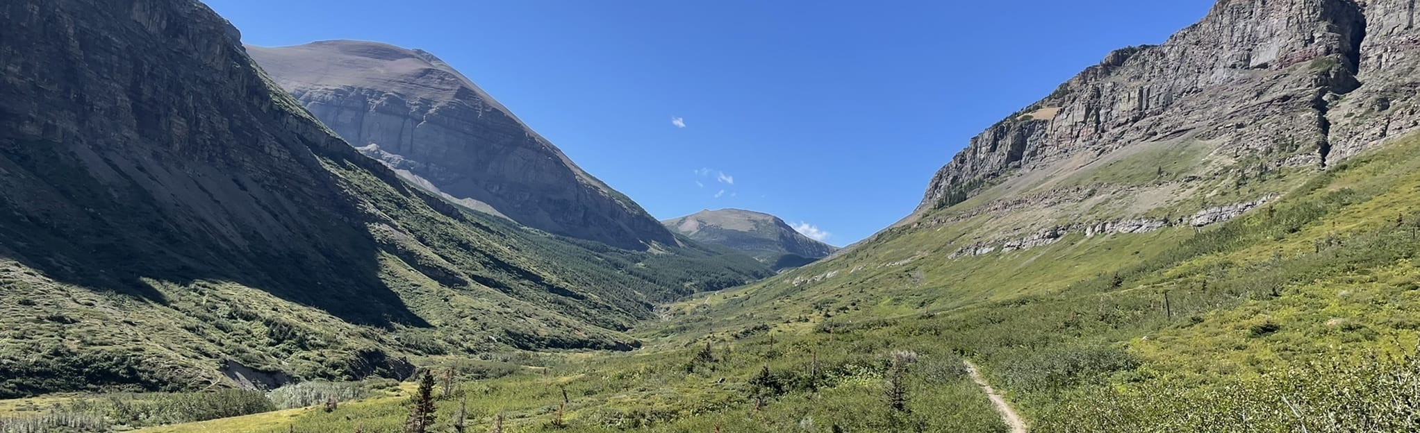 Bovin (Blue) Lake, Alberta, Canada - 127 Reviews, Map | AllTrails