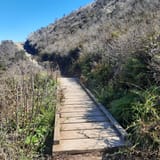 Slacker Hill Trail, California - 389 Reviews, Map | AllTrails