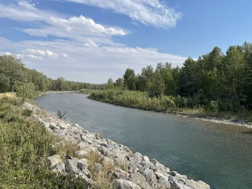 Best Hikes and Trails in Riverside Community Park | AllTrails