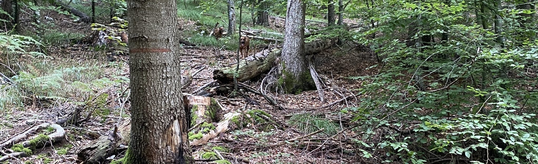 Rukavac - Lisina, Primorje-Gorski Kotar, Croatia - 3 Reviews, Map ...