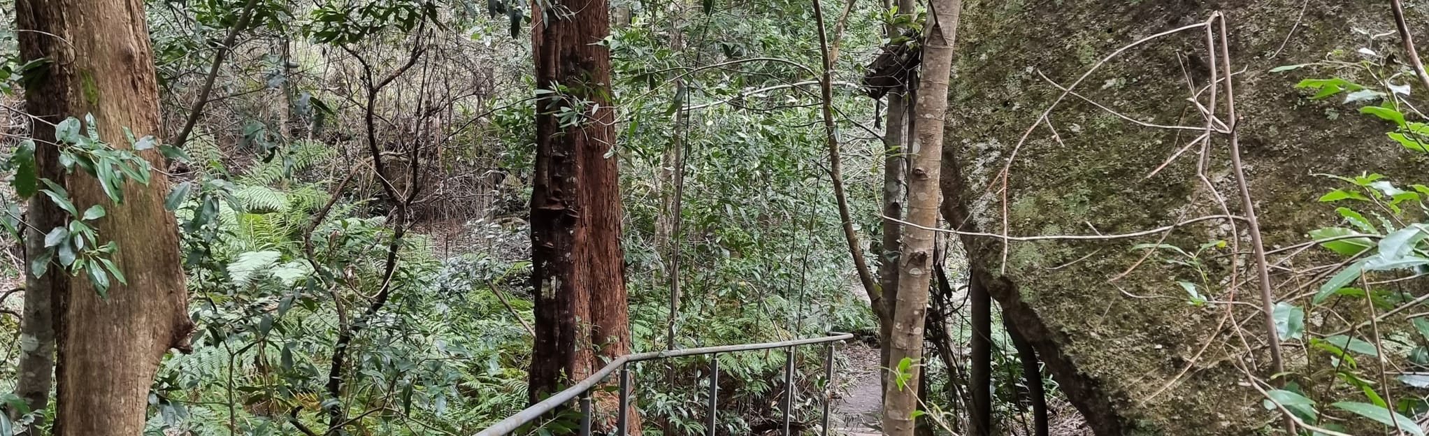 Fairy Bowers Falls Walk and Nicholas Pass: 56 Reviews, Map - New South ...