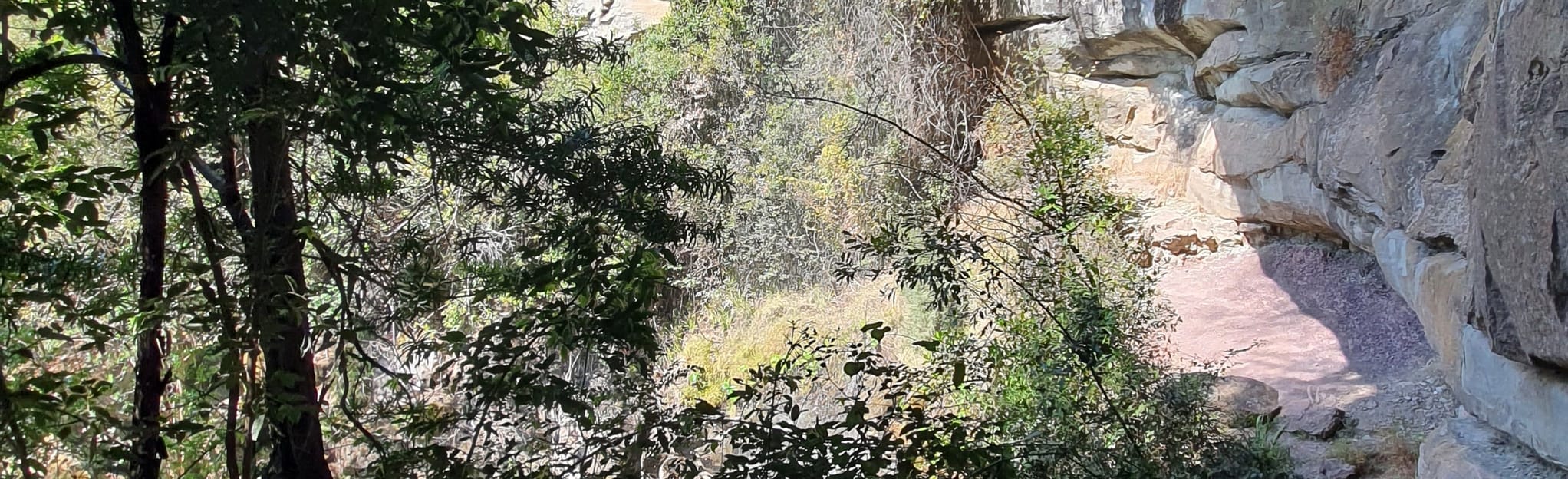 Monks cowl - Nandi falls: 28 Reviews, Map - Kwazulu-Natal, South Africa ...