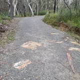 Bundanoon Showcase Loop, New South Wales, Australia - 9 Reviews, Map ...