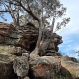 Bundanoon Showcase Loop, New South Wales, Australia - 9 Reviews, Map ...