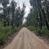 Bundanoon Showcase Loop, New South Wales, Australia - 9 Reviews, Map ...