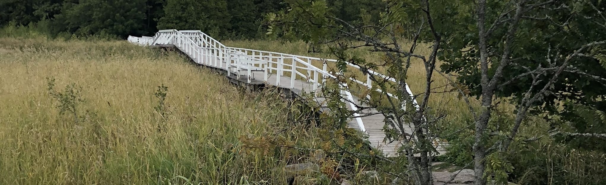 Paimio Path, Finland Proper, Finland - 13 Reviews, Map | AllTrails