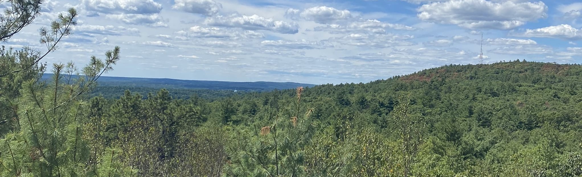 Houghton, Skyline, Coon Hollow, Chestnut Run, and Jeffries Trail: 147 ...