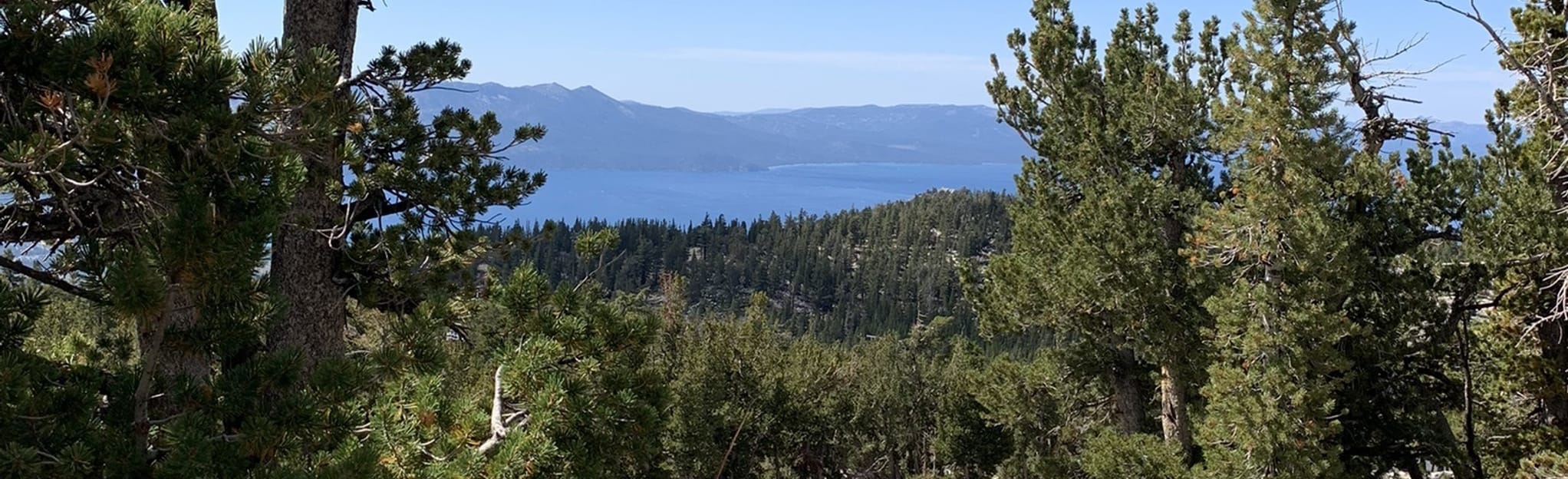 Tamarack Trail, California - 52 Reviews, Map | AllTrails