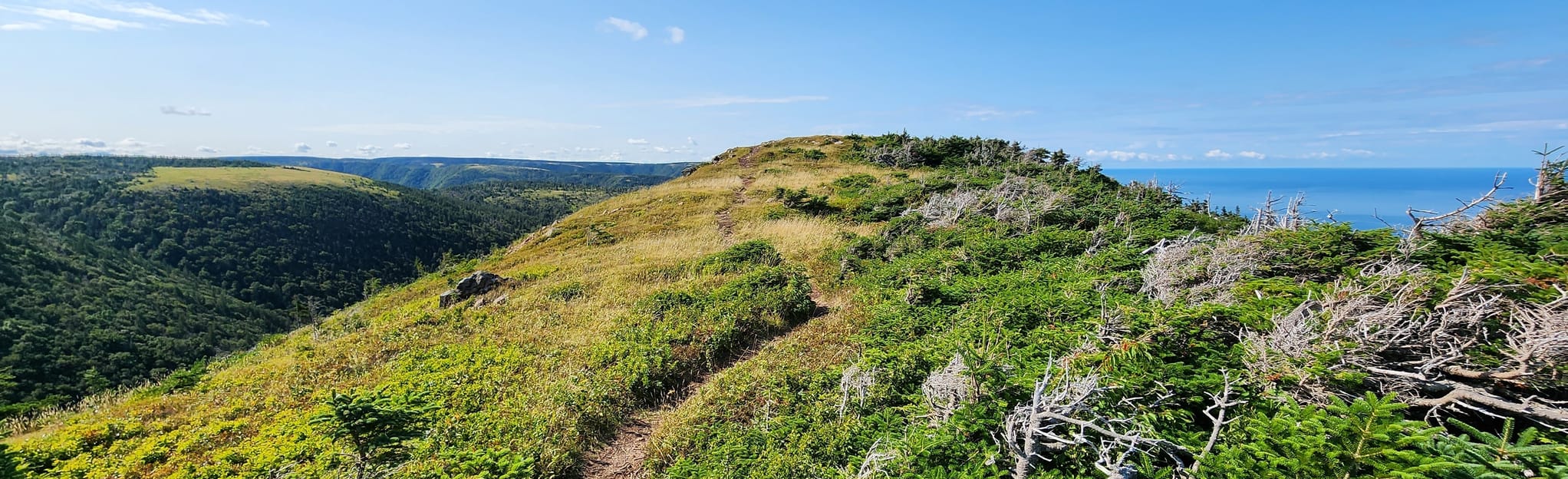 Blueberry Mountain, Nova Scotia, Canada - 311 Reviews, Map | AllTrails