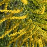 Bunkum Cave Trail, Tennessee - 231 Reviews, Map | AllTrails