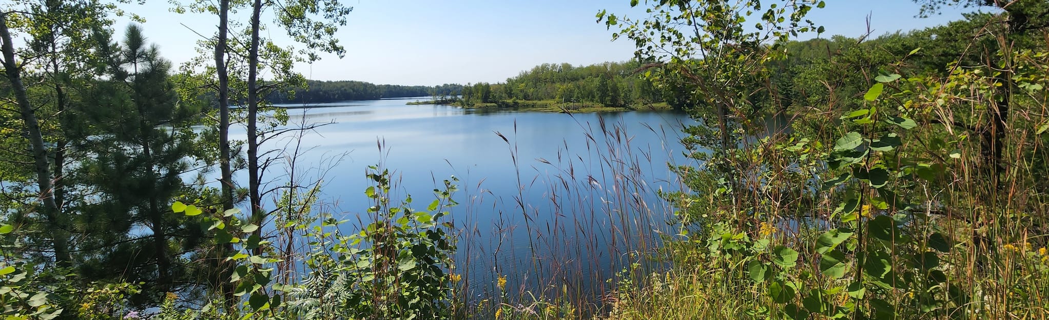 Bison Run and Dynamite Trails, Minnesota - 93 Reviews, Map | AllTrails