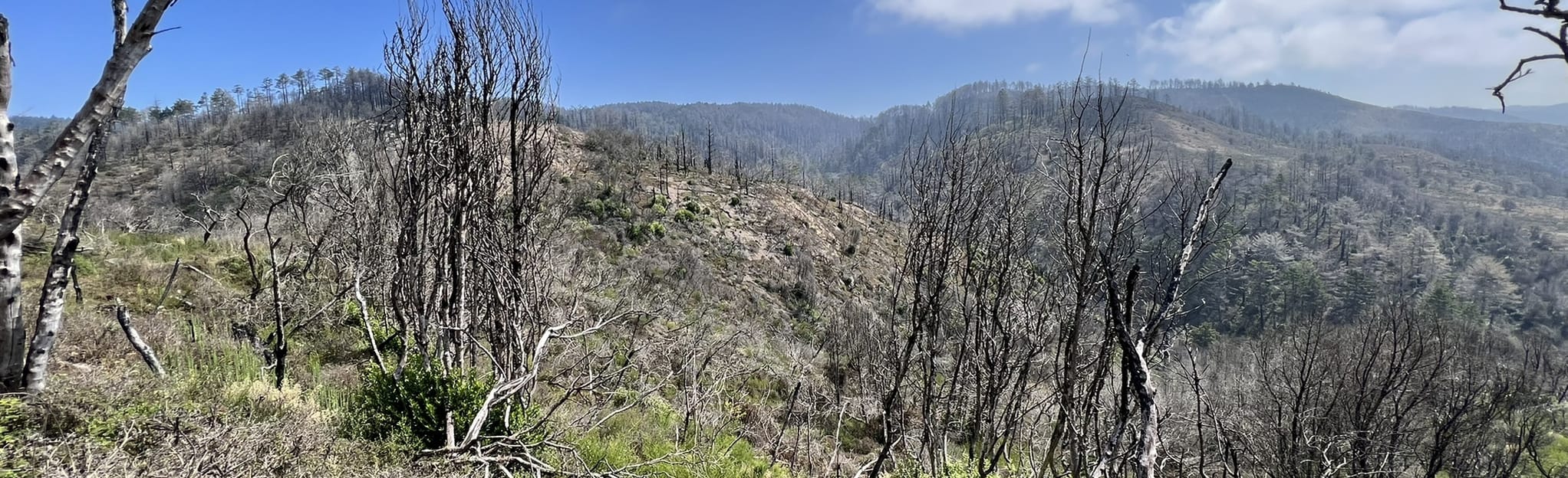 Sky Trail and Coast Trail Loop | Map, Guide - California | AllTrails