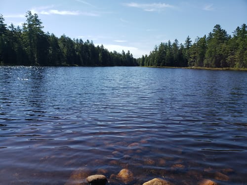 2023 Best Forest Trails in Independence River Wild Forest | AllTrails