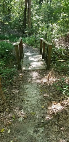 Best Hikes and Trails in Rend Lake | AllTrails