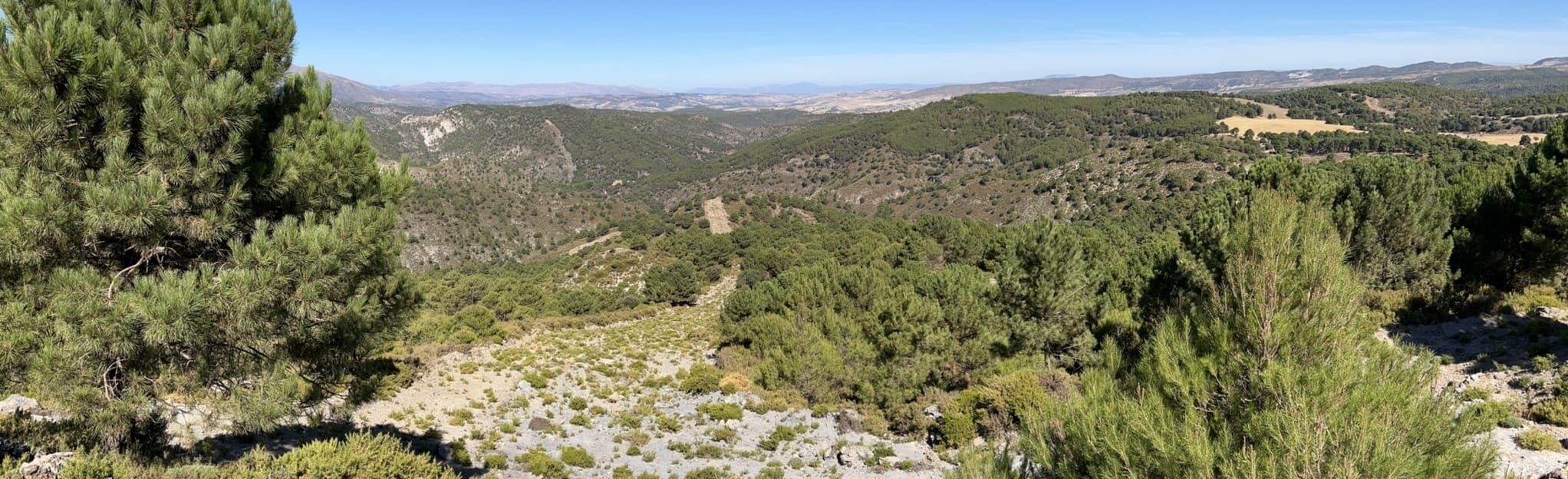 Jayena - Cerro Lopera, Granada, Spain - Map, Guide | AllTrails