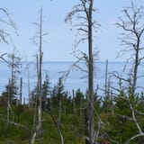 Two Hearted River, Michigan - 42 Reviews, Map | AllTrails