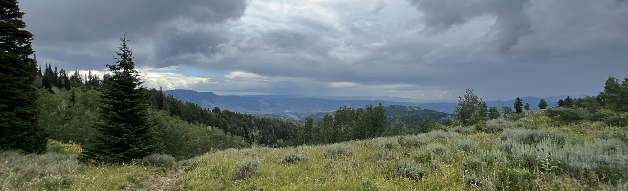 Naomi Peak National Recreational Trail to Temple Fork: 5 Reviews, Map ...