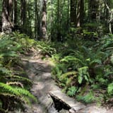 Rohner Park Loop, California - 217 Reviews, Map | AllTrails