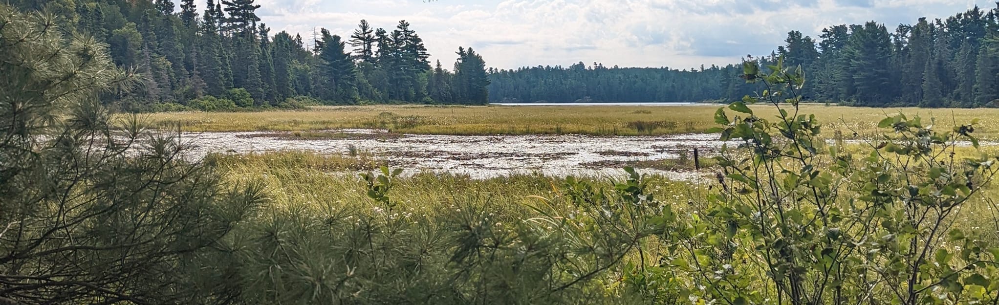 Marten River Transition Trail: 77 Reviews, Map - Ontario, Canada ...