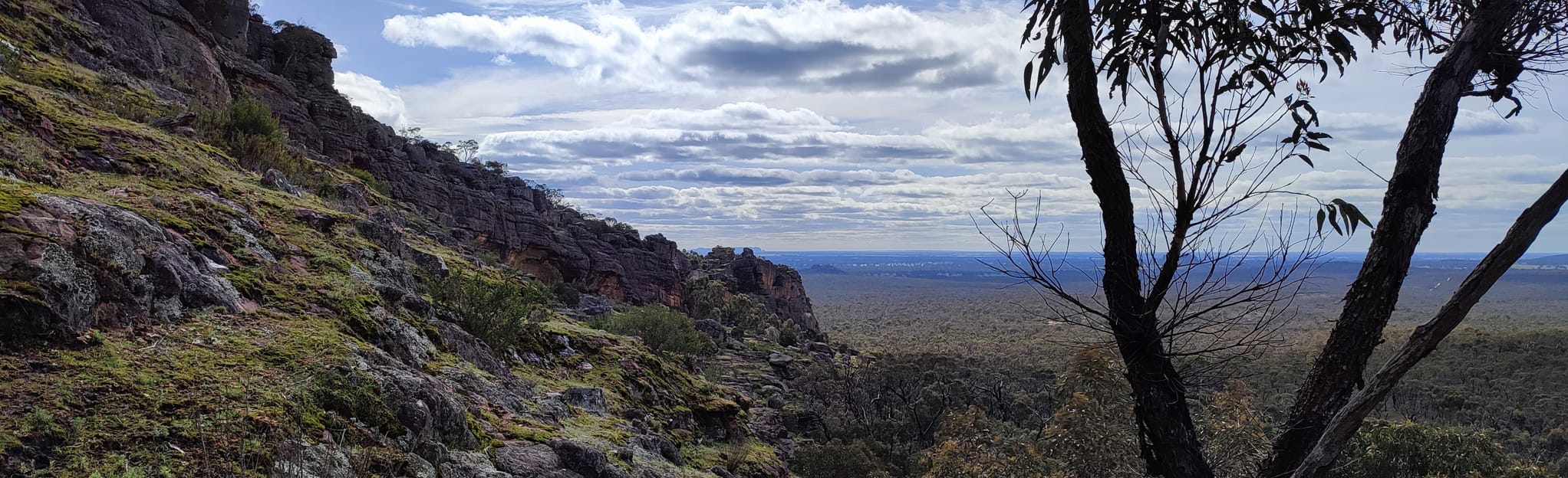 Black Range Loop: 1 Reviews, Map - Victoria, Australia | AllTrails