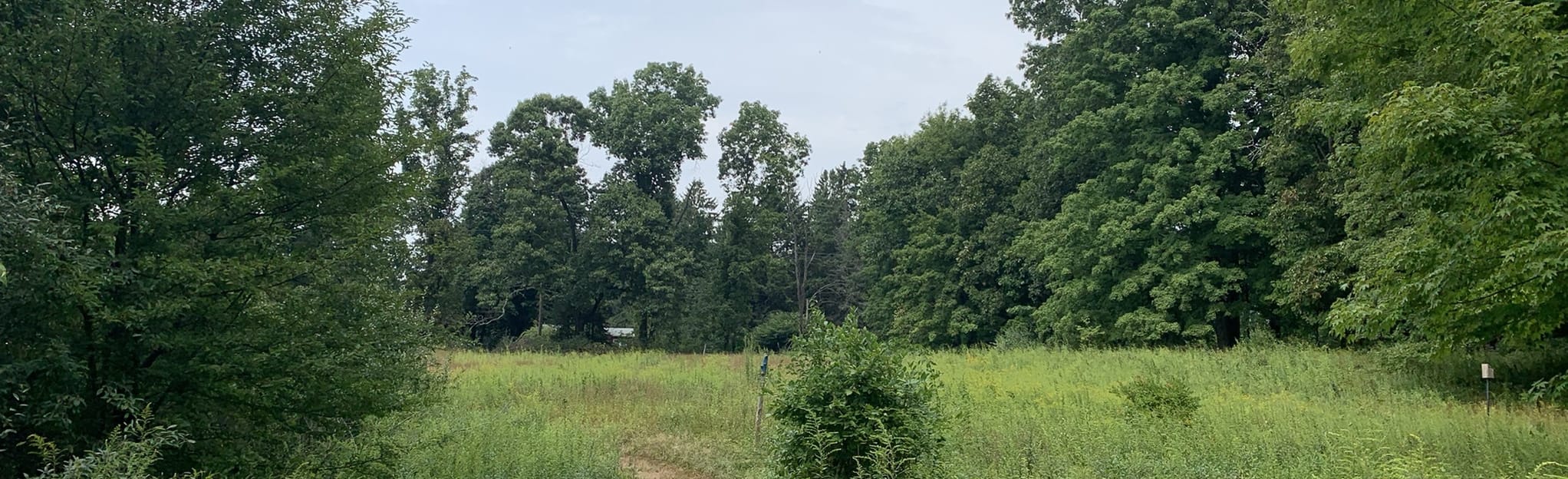 Brunot Preserve Loop | Map, Guide - Connecticut | AllTrails