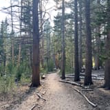 Chicken Spring Lake via Cottonwood Pass Trail, California - 349 Reviews ...