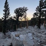 Chicken Spring Lake via Cottonwood Pass Trail, California - 349 Reviews ...