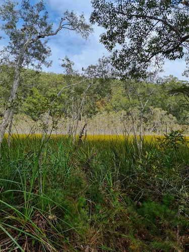 10 Best Hard Trails in K'gari (Fraser Island) | AllTrails