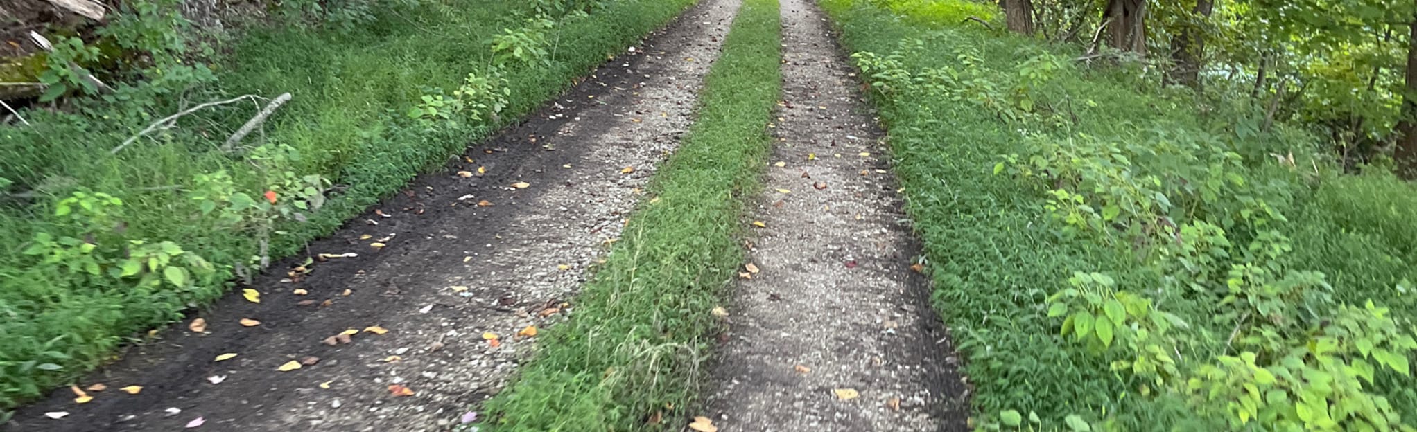 Middle Ridge Trail, West Virginia - 43 Reviews, Map | AllTrails