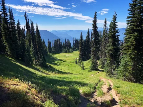10 Best Trails and Hikes in Longmire | AllTrails
