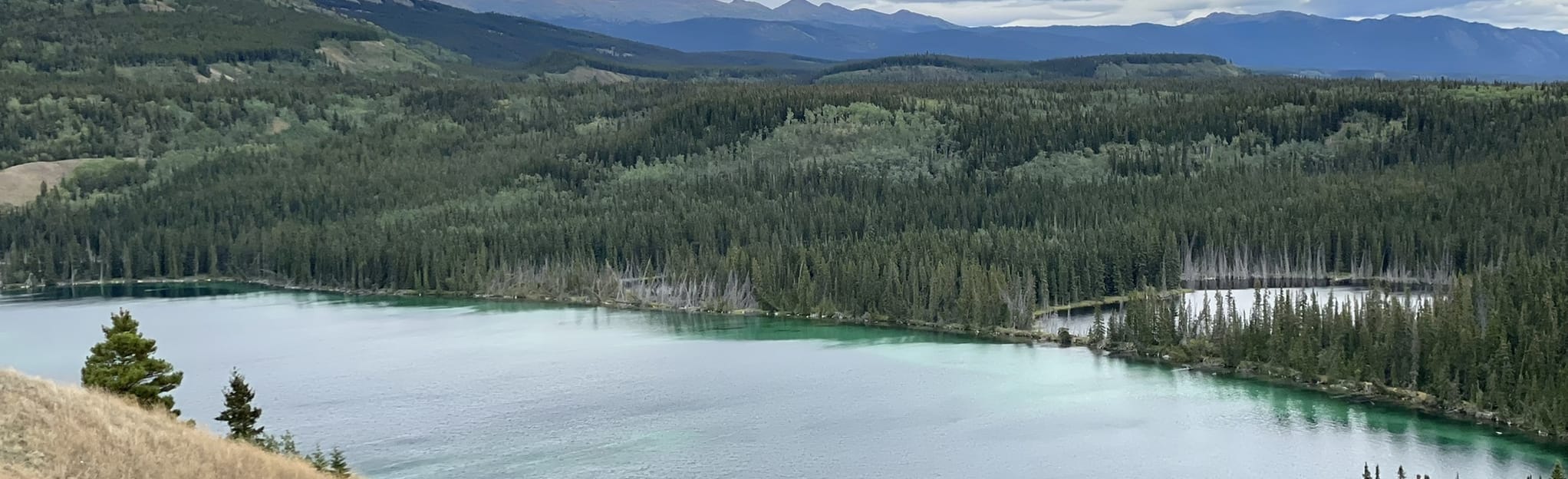 Log Trail Loop | Map, Guide - Yukon, Canada | AllTrails