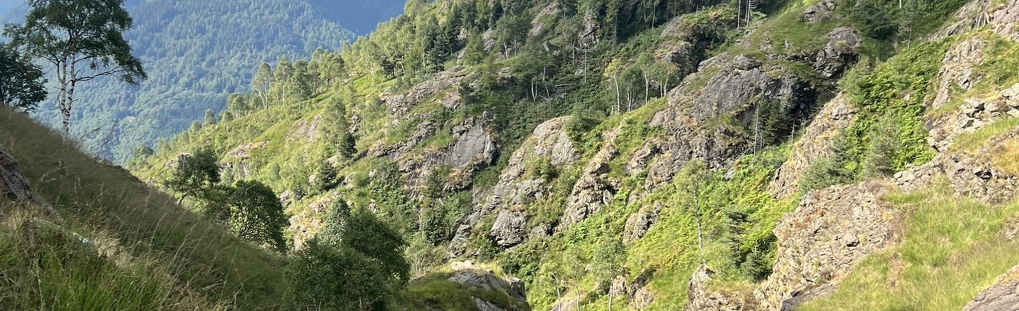 Piane - Rifugio Monte Barone: 6 Reviews, Map - Piedmont, Italy | AllTrails