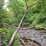 Decew Falls Loop, Ontario, Canada - 294 Reviews, Map | AllTrails