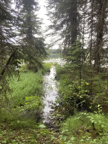 Best Hikes and Trails in Tyhee Lake Provincial Park | AllTrails