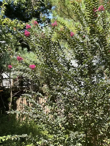 Best Hikes and Trails in Stanton Woods Park | AllTrails