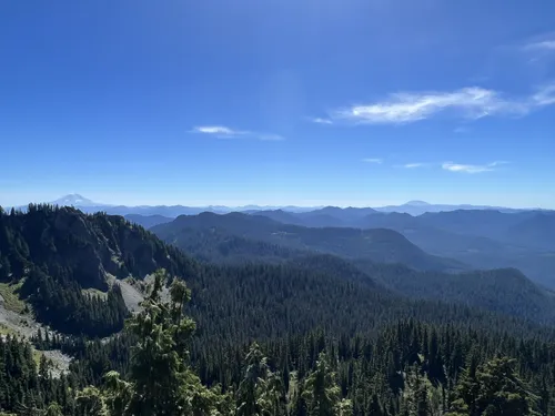 10 Best Trails and Hikes in Longmire | AllTrails