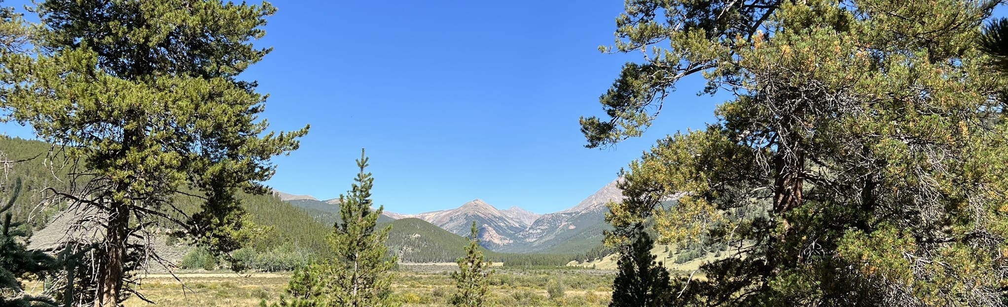 Burning Bear Trail: 460 Reviews, Map - Colorado | AllTrails