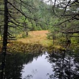 Two Lakes Trail, Alaska - 380 Reviews, Map | AllTrails