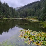 Two Lakes Trail, Alaska - 380 Reviews, Map | AllTrails