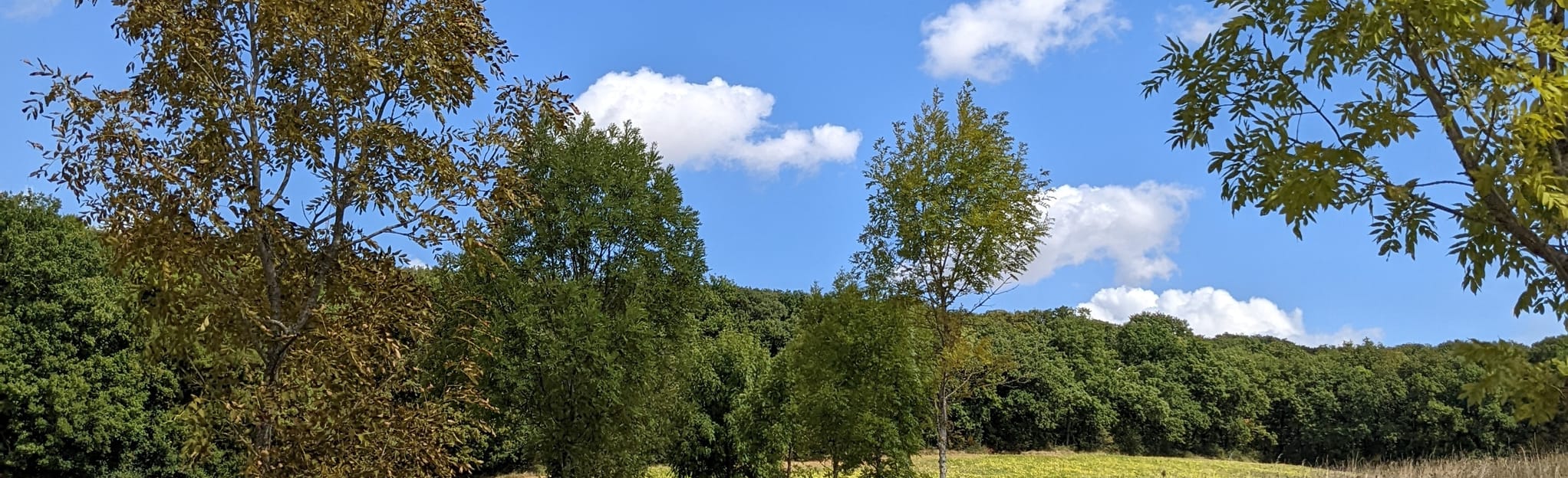 GR®65 Segment 22 : From Lectoure to La Romieu: 67 Reviews, Map - Gers ...