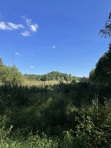 10 Best Hikes and Trails in Waterloo State Recreation Area | AllTrails