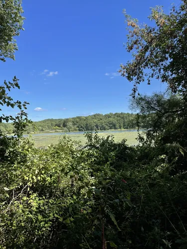 10 Best Hikes and Trails in Waterloo State Recreation Area | AllTrails