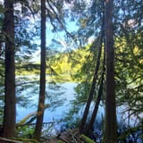 Alice Lake Loop , British Columbia, Canada - 253 Reviews, Map | AllTrails