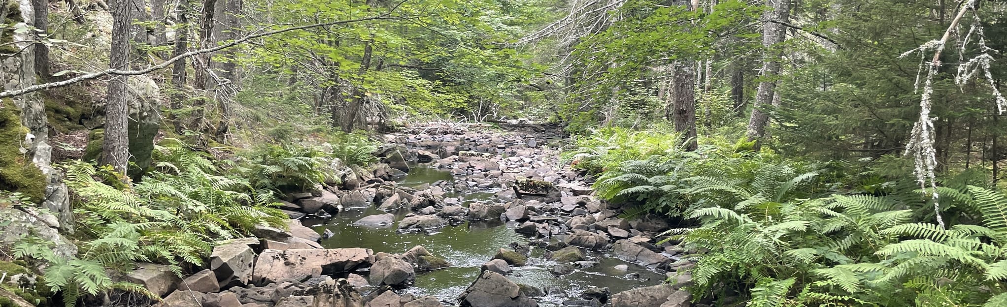 Johnson River Falls Trail | Map, Guide - Nova Scotia, Canada | AllTrails