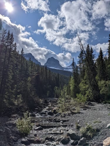 2023 Best 10 Trails and Hikes in Canmore | AllTrails