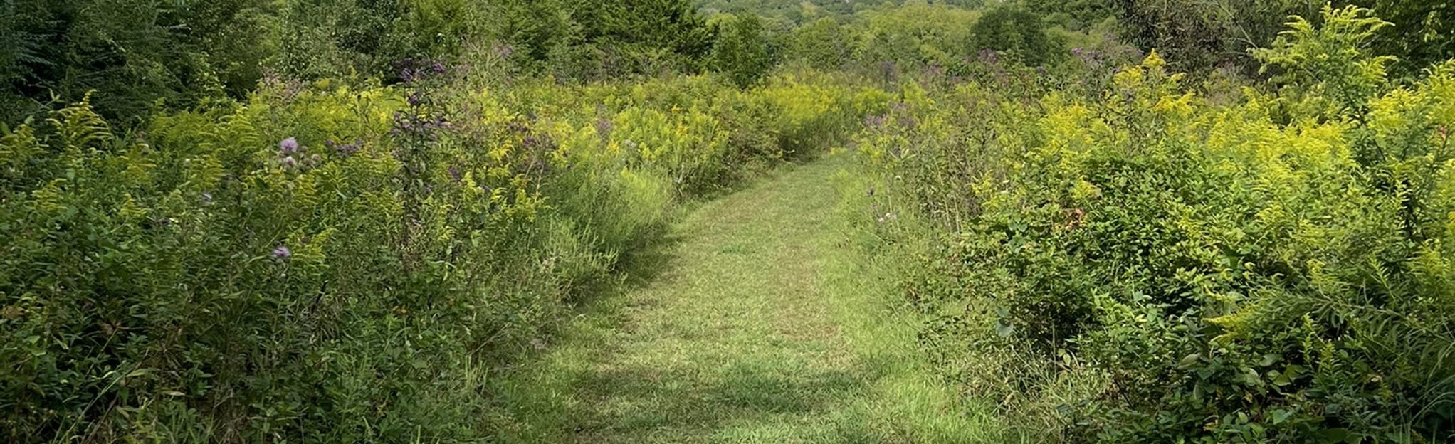 AllTrails | Cedar Run Trail: 176 Reviews, Map - Tennessee