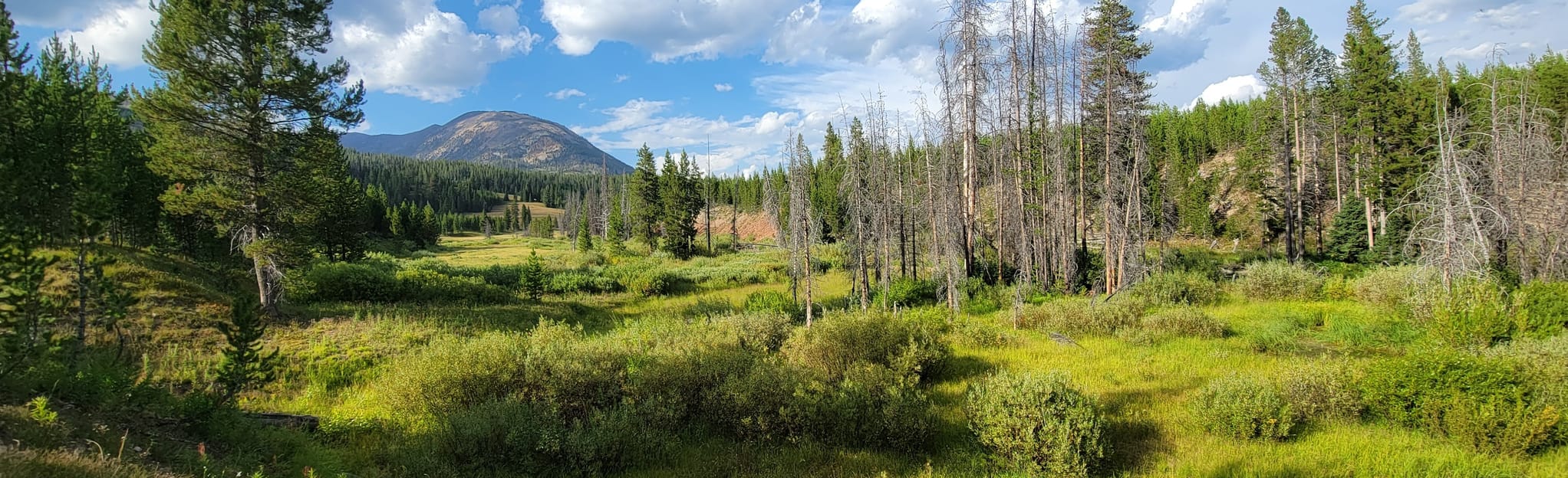 Heart Lake Loop Trail: 98 foto's - Montana | AllTrails