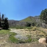Red Lake Trail, Utah - 221 Reviews, Map | AllTrails