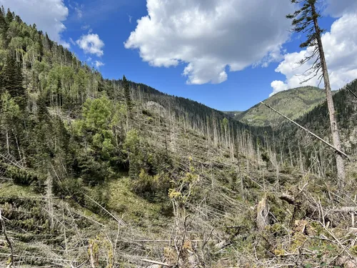 10 Best River Trails in Carson National Forest | AllTrails